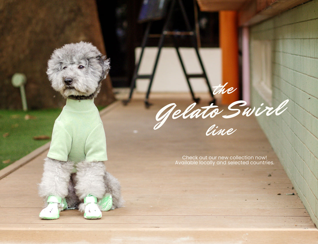 Gentle Walker