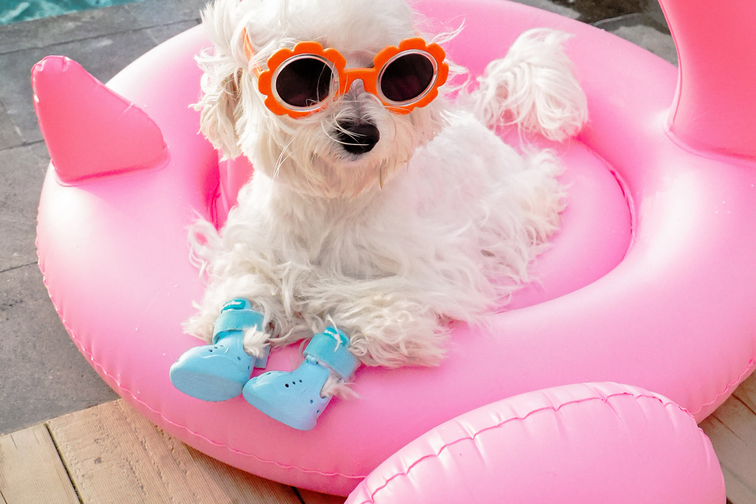 About Us – Gentle Walker